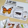 Insect Bug Math and Literacy Centers for Preschool, Pre-K, and ...