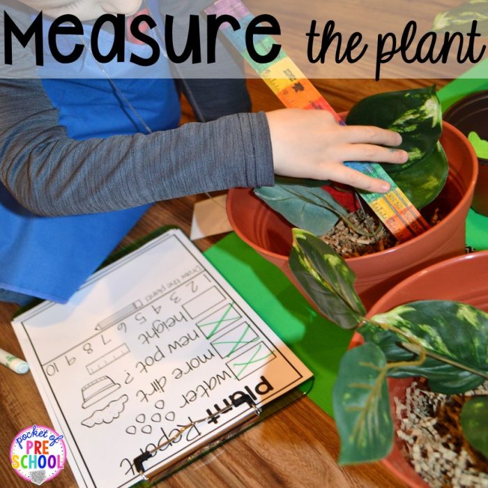 Flower and Garden Shop Dramatic Play - Pocket of Preschool