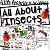 All About Insects- Science for Little Learners (preschool, pre-k ...
