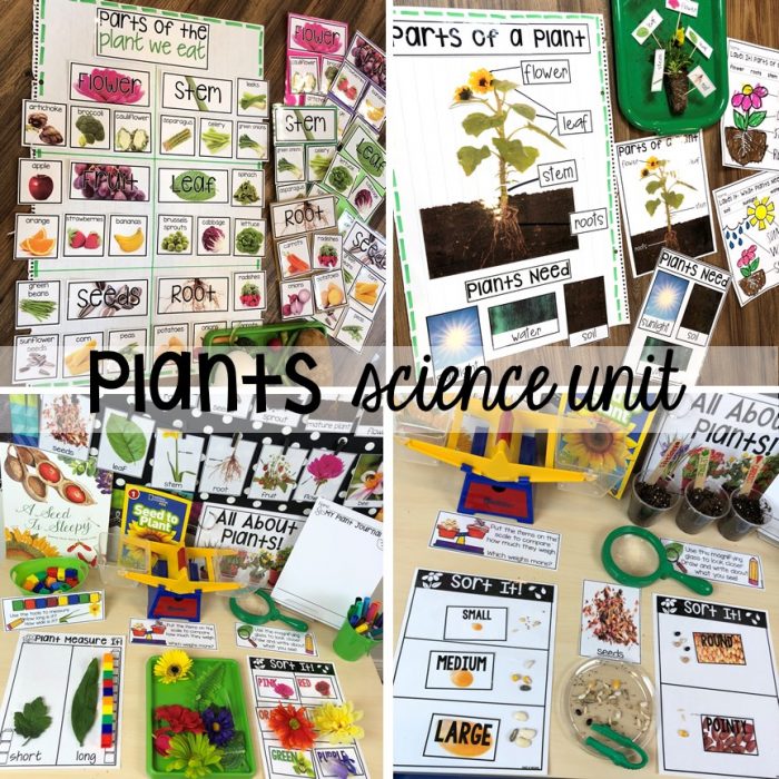 Currículo de Ciencias de Little Learners - Preescolar, Pre-K y ...