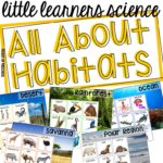 All About Habitats- (Ocean, Savanna, Rainforest, Desert, Polar) Science ...