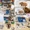 Animals in Winter - Science for Little Learners (preschool, pre-k ...