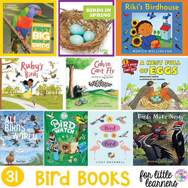 31 Bird Books for Little Learners - Pocket of Preschool
