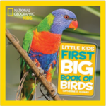 31 Bird Books for Little Learners - Pocket of Preschool