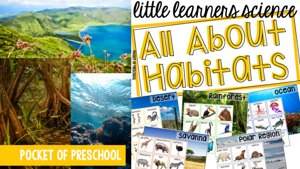 Little Learners Science- All About Habitats - Pocket of Preschool