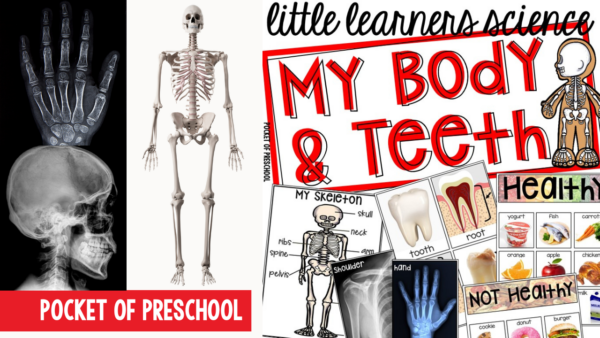 Little Learners Science- My Body & Teeth - Pocket of Preschool