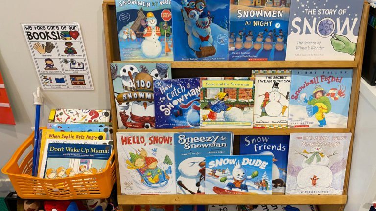 winter read aloud ideas - Pocket of Preschool