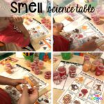 28 Hands-On 5 Senses Activities for Preschool, Pre-k, and Kindergarten ...