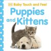 35 5 Senses Books for Little Learners - Pocket of Preschool