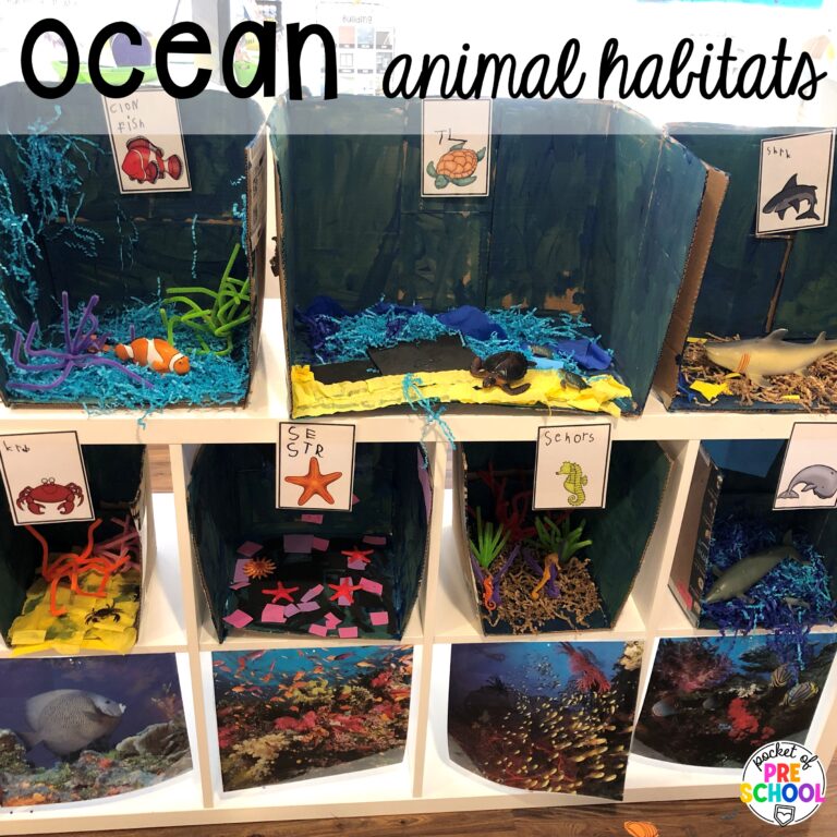 Ocean Aquarium in the Dramatic Play Center - Pocket of Preschool