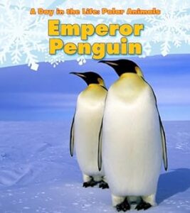 emperor penguin - Pocket of Preschool