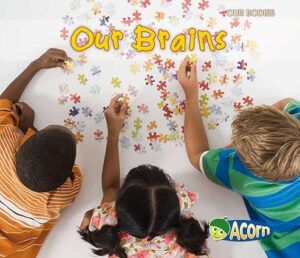 our brains - Pocket of Preschool