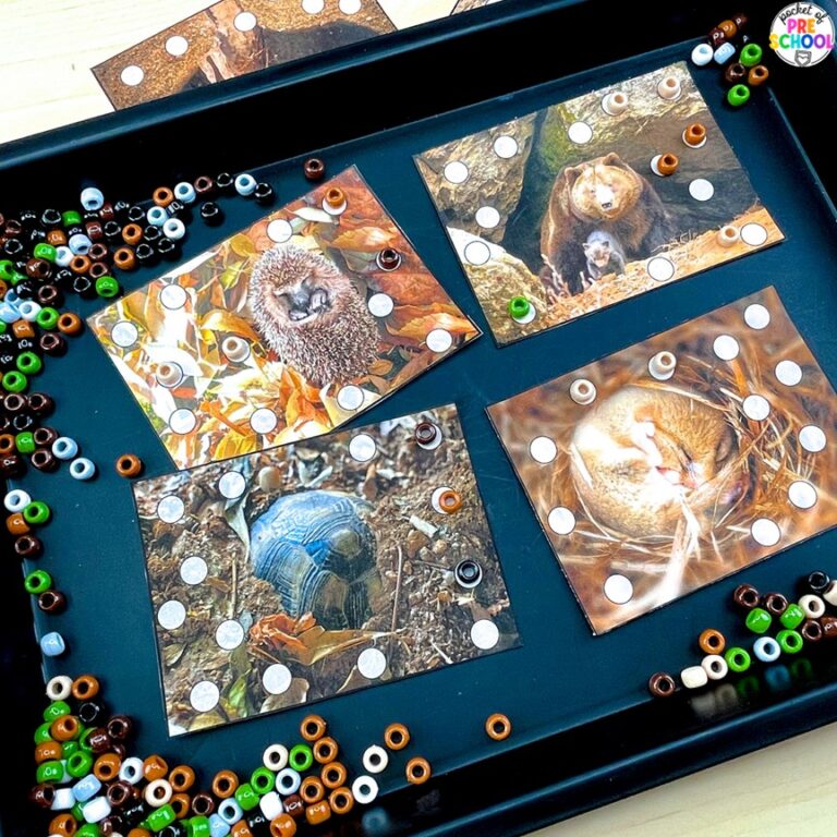 Hibernation Math and Literacy Centers for Preschool, Pre-K, and ...